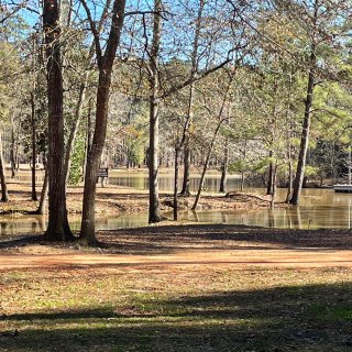 Lakepoint Resort State Park - Eufaula, Alabama - RV LIFE Campground Reviews